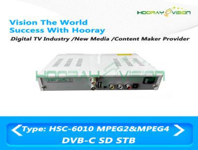 Cina Intelaiatura multipla del metallo di video lingua 50Hz/60Hz di formato del decoder di H.264 DVB C in vendita