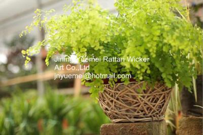 China 2016 new style wicker garden baskets round shape willow garden plants basket for sale