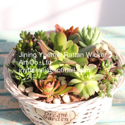 China 2016 new style wicker garden baskets round shape willow plant basket for sale