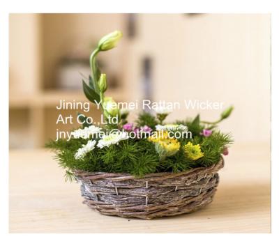 China 2016 new style wicker garden baskets round shape willow plant baskets for sale