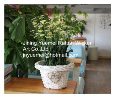 China 2016 new style wicker garden baskets round shape willow plant baskets white colour for sale