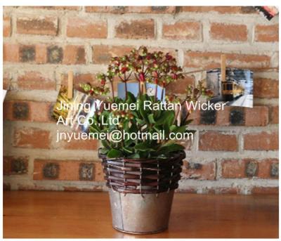 China China manufacturer wicker garden baskets willow plant baskets round shape steel base for sale