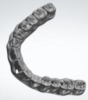 China Digital Aluminum Bar with Temporary Teeth for Dental Study Models for sale