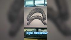 Digital Aluminum Bar Temporary Teeth Solution