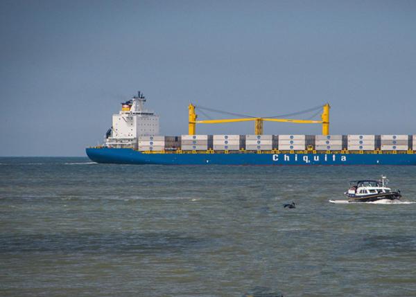 Quality Fast Delivery International Shipping Freight Forwarder Services To Felixstowe DDP for sale