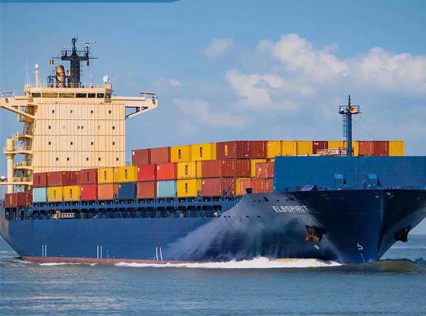 Quality FOB EXW Global Shipping Logistics , LCL Sea Freight China To Germany for sale