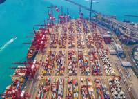 Quality International FCL And LCL Sea Freight Shipping From China To Oman for sale