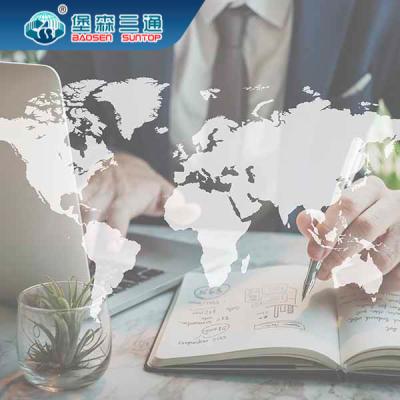 Cina Il servizio di distribuzione d'oltremare di FBA, trasporta l'immagazzinamento dei servizi nei Paesi Bassi DDU DDP in vendita