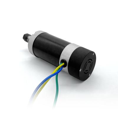 Cina 500W motore mandrino senza spazzola ER11 12000rpm 48V in vendita