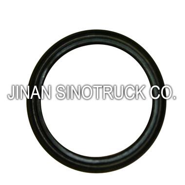 China HOWO A7 Truck Parts VG1500010037 Crankshaft Oil Seal Front for sale