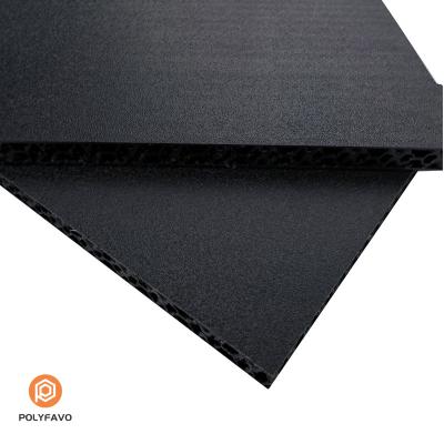 Cina Tavola di nido di miele in PP nera a 10 mm per custodia di volo in vendita