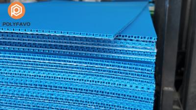 China 5mm 1600gsm Reinforced Bubble Floor Protection Board With Polypropylene Layer for Heavy Machinery for sale