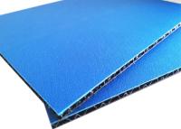 China PP Bubble Structure Skin Textured Honeycomb Board Sheets for sale