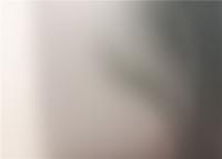 China Acid Etched Decorative Patterned Glass Fine Polished Edge Solid Structure for sale