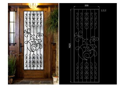 Cina Apertura interna / esterna decorativa vetro di ferro battuto per porte d'ingresso in vendita