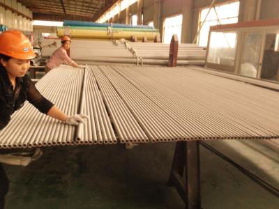 Cina Il tubo a 3 pollici dell'acciaio inossidabile del diametro di TP 904L, fusione elettrica ha saldato il tubo in vendita