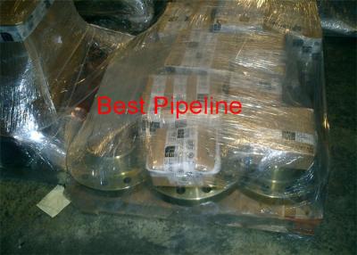 Cina Il compacte Flanșe di Flanse l'api Flanse del polmone del gat del Cu di Flanse placa le Weldo-flange Evaluare delle Nipo-flange: PN6 – PN400 150# – 25 in vendita