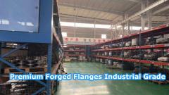 High Quality Stainless Steel Forged Flanges Industrial Use