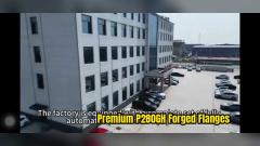 Professional Forged Flange Origin Manufacturing Factory