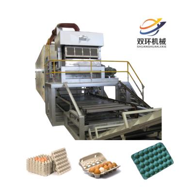 China Paper Egg Tray Manufacture Machinery Molding | Egg Tray Making Machine Price for sale