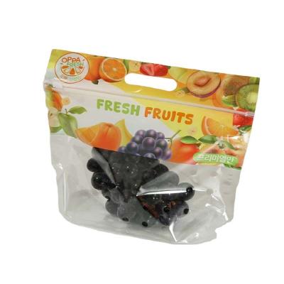 China PE Plastic Fruit Packaging Bags Ventilated Fresh Produce Bags for sale