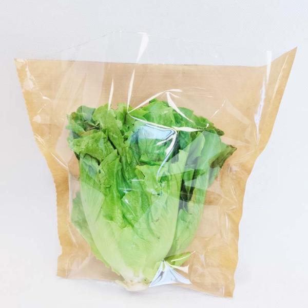 Quality Compostable Flat Bottom Paper Bag Eco Friendly Paper Vegetable Bags With Breathable Holes for sale