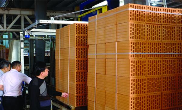 40Kw de Machine Automatische Baksteen van de baksteenverpakking het Maken Machine 30000 Bricks/H