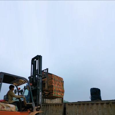 Cina Impianto di produzione di mattoni di 180 metri di lunghezza con una capacità produttiva giornaliera di 500000 in vendita
