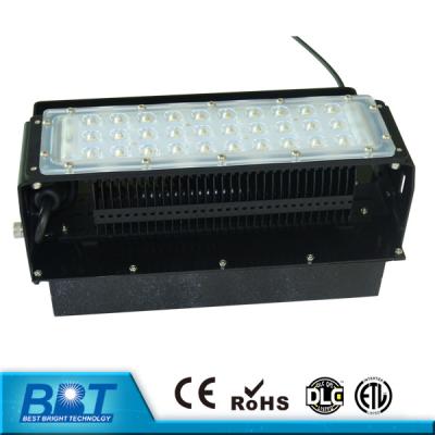 Cina Il Cree 50w ha condotto il proiettore per la stazione di servizio/lampade con riflettore principali all'aperto in vendita