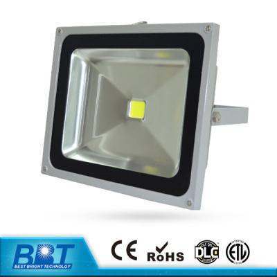 Cina Luci di inondazione principali impermeabili di approvazione del CE ROHS con il chip della PANNOCCHIA di Bridgelux in vendita