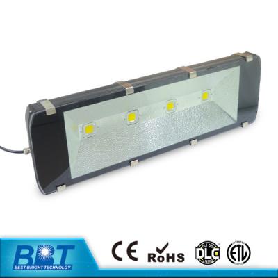 Cina 105lm/proiettore resistente alle intemperie principale impermeabile del giardino di alluminio delle luci inondazione di W in vendita