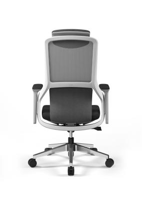 Cina Capo di giro Chair, sedia girevole comoda di curva ad S di larghezza 650mm in vendita
