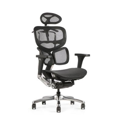 Cina OEM lombare di Task Mesh Chairs Torsion Knobs Adjustable del responsabile in vendita
