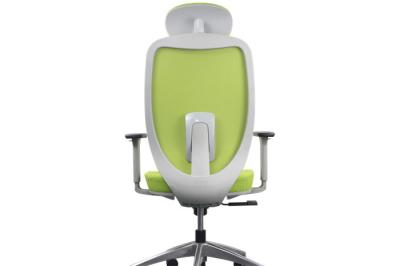 China Mesh Adjustable Ergonomic Chair verde, de H1165-1260MM cadeira do computador por conseguinte à venda