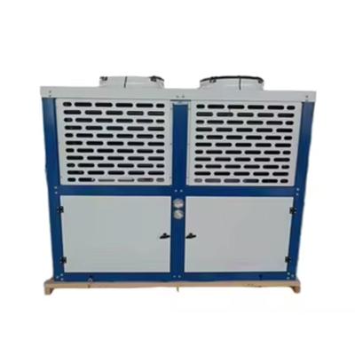 Cina Capacità di raffreddamento di refrigerazione di Bitzer grande vibrazione industriale dell'unità di piccola in vendita