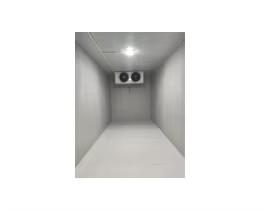 Quality Bitzer Compressor Small Large-Scale Cold Room Storage Panels Fresh-Keeper for sale