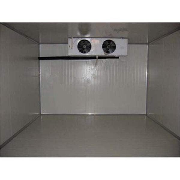 Quality Quick Freeze Walk In Cold Rooms Safety Fresh Keeping Small Freezer Room for sale