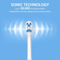 China Slim Smart Electric Toothbrush Rechargeable 3 Brushing Modes 2 Minute Timer for sale