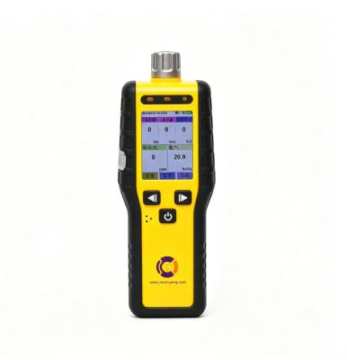 China Marine Five-in-one CY GAS22 Pump-suction Explosion-proof CO2 & Oxygen Detector Pump CCS Certified Operating -20~55 for sale