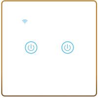 China 240VAC Alexa Google Smart Switch Panel Home Tuya Zigbee Smart Switch for sale