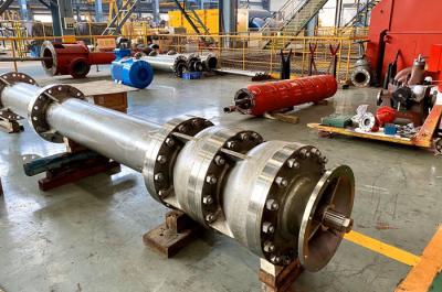 Cina 2 la fase FM ha approvato la pompa antincendio verticale della turbina messa con il driver del motore elettrico in vendita