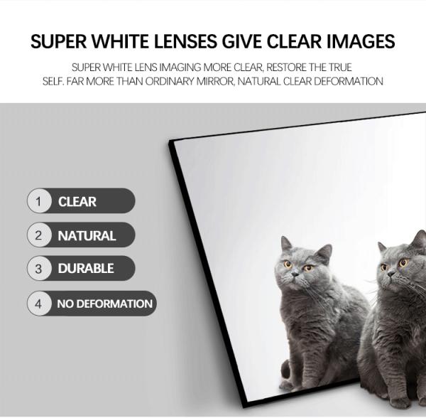 Quality 4mm Aluminum Frame Full Length Dressing Mirror Without Light Slim Bezel for sale