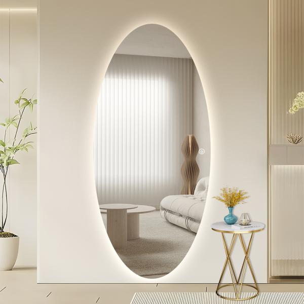 Quality Anti Fog Oval LED Backlit Mirror , Full Length Dressing Mirror Wall Mounted for sale