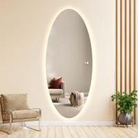 Quality Anti Fog Oval LED Backlit Mirror , Full Length Dressing Mirror Wall Mounted for sale