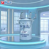 Quality 250KVA 333KVA 500KVA Outdoor Single Phase Pole Mounted Transformer for Energy manufacturer