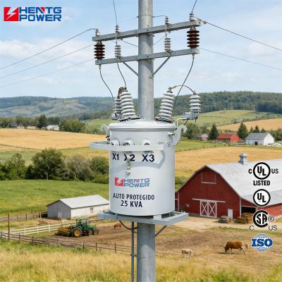 China Tropical Climate Resistant 50KVA Single Phase 12.47KV to 240V Pole Mounted Transformer for Home Electricity Distribution OEM for sale