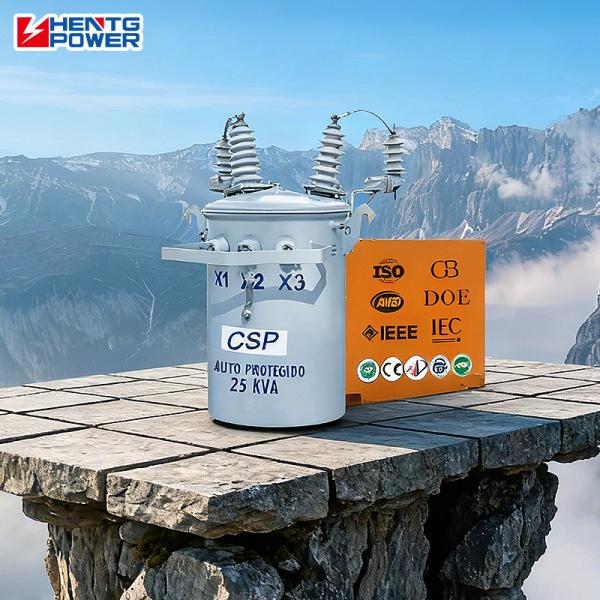 Quality Safe & Long Lifespan 250KVA Single Phase 0.4KV to 11KV Pole Mounted Transformer for Residential & Small Commercial Use Manufacturer for sale