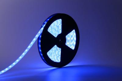 Cina Le strisce RGBW/illuminazione modulo di RGB LED hanno personalizzato il controllo del driver in vendita