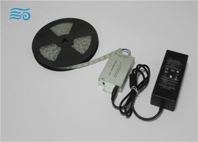 Cina L'alto colore di Istruzione Autodidattica 5050 SMD RGB che cambia le lampade fluorescenti principali impermeabilizza la lunghezza di 5M in vendita
