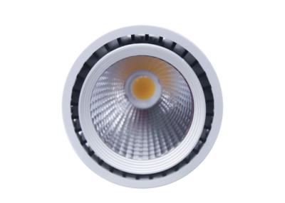 China 2700K que 12 watts conduzidos crescem internos bulbos/IP40 conduzidos crescem luzes ângulo de feixe de 160 graus à venda